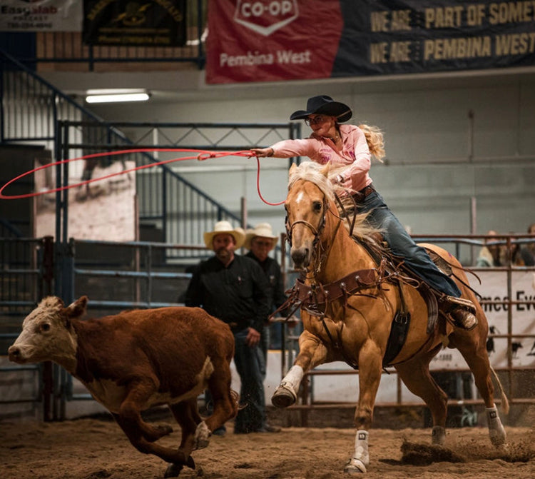 MB Equine Performance – MB Equine Performance